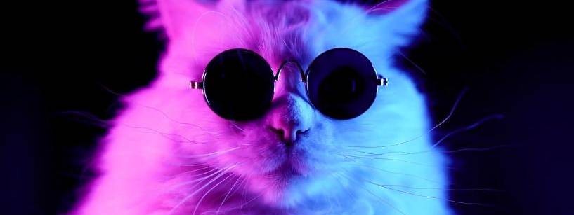 В И Д О С И К И