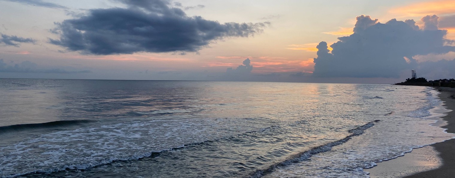 Витино, Крым. Гостевой дом "Сантолина"