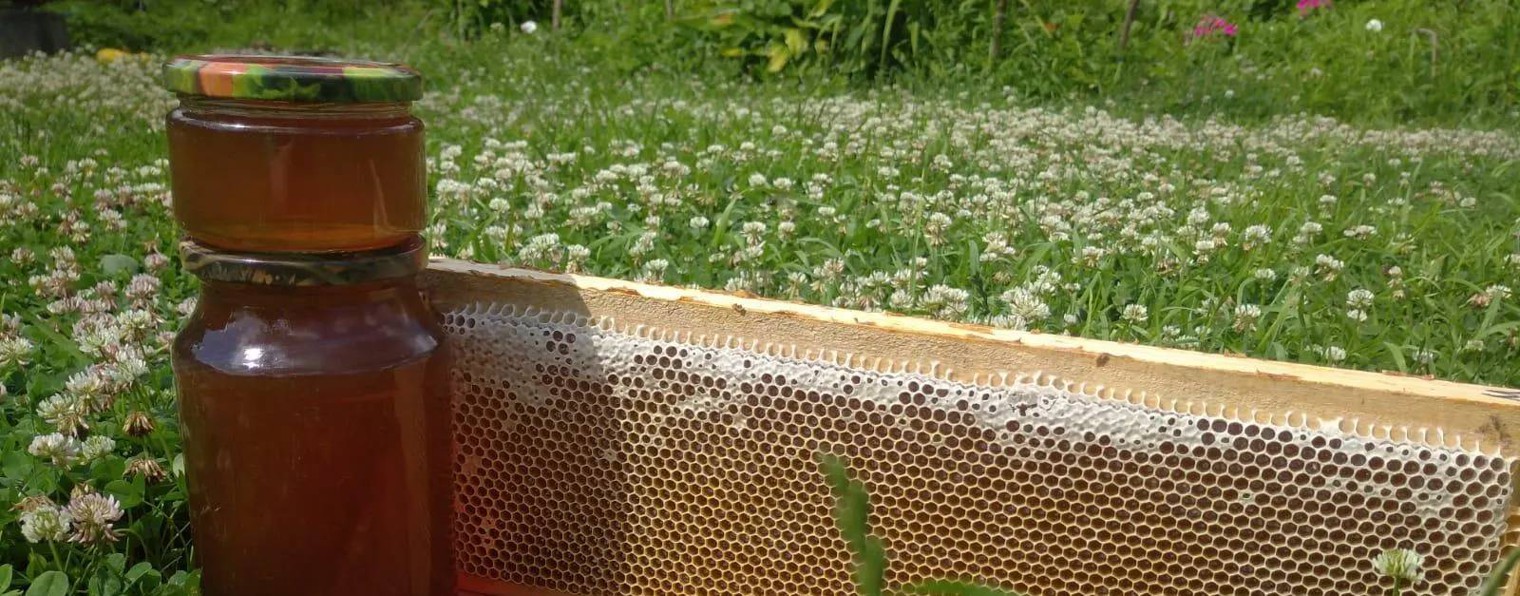 Ярославский пасечник