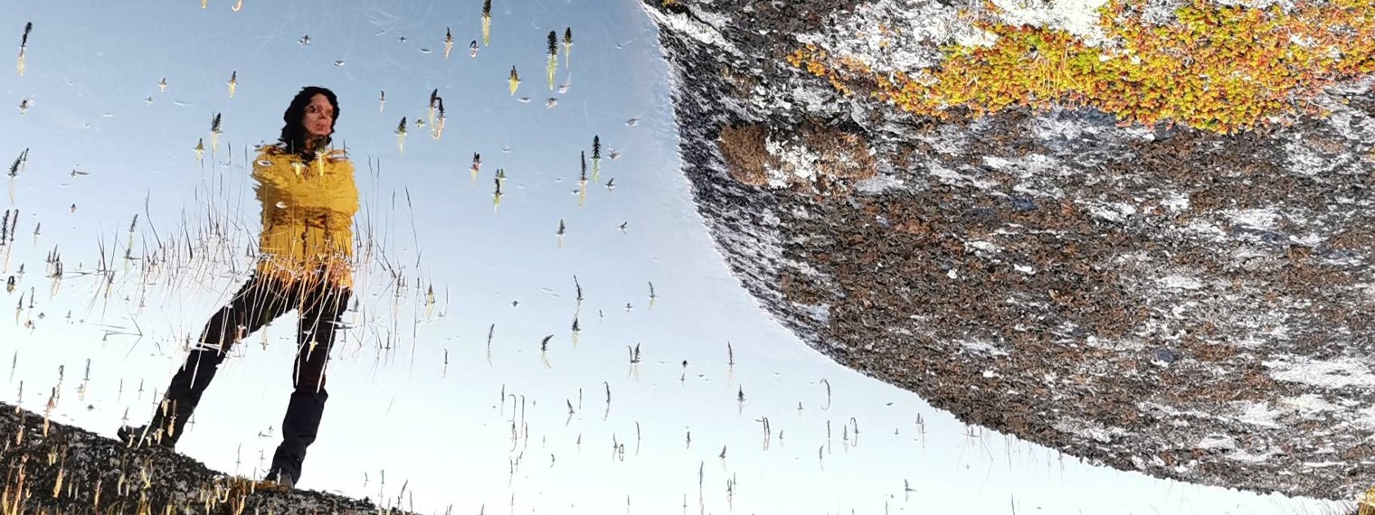 Андрей Павлилис