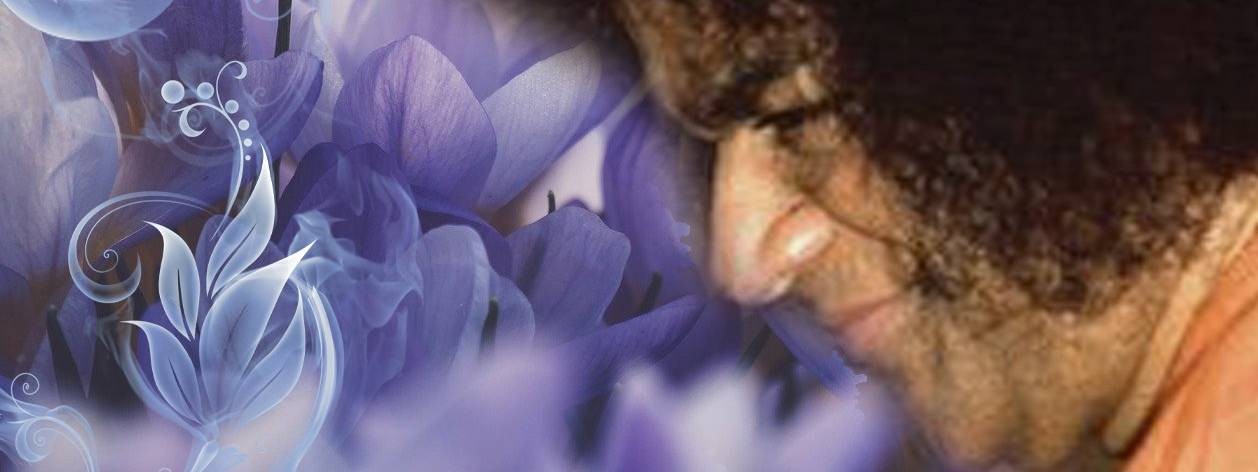 Веда Клуб "Белый Лотос"