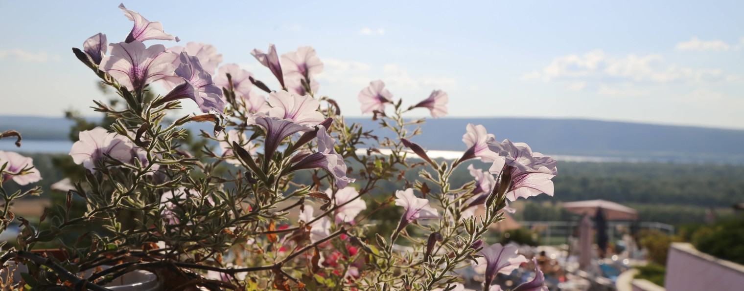Дмитрий КАДР 🎥