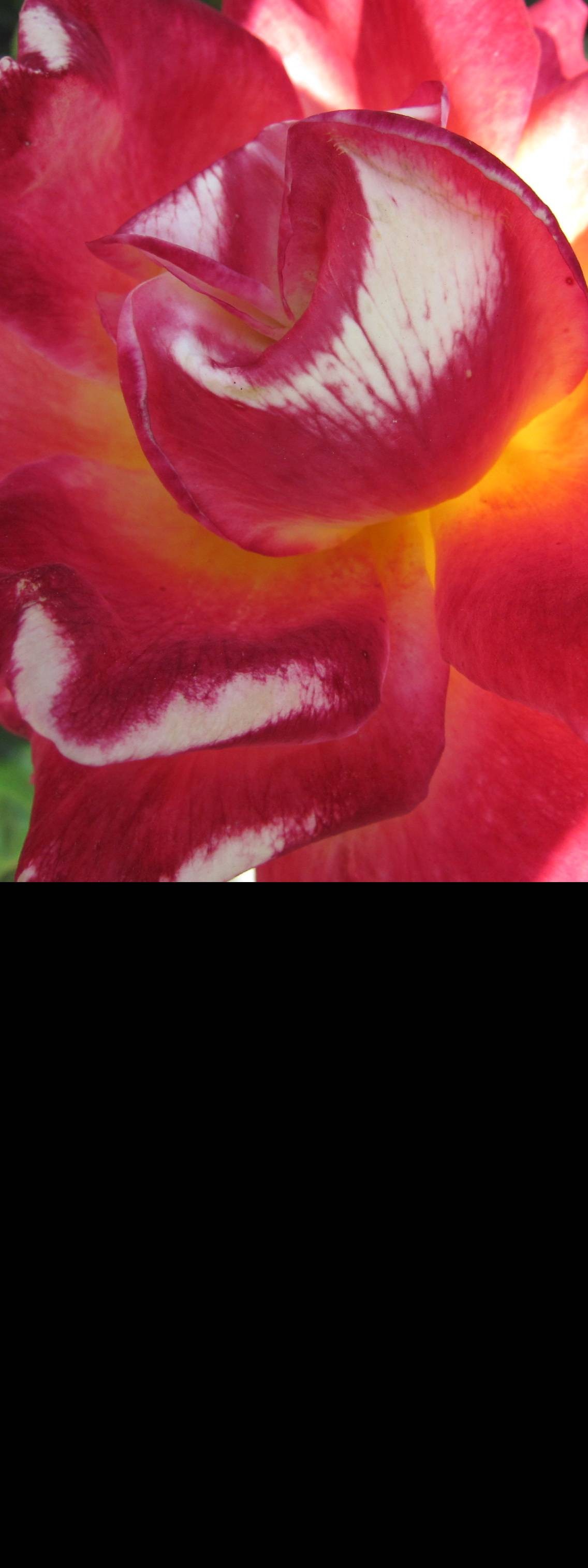 Талызина Татьяна ( Татиана )