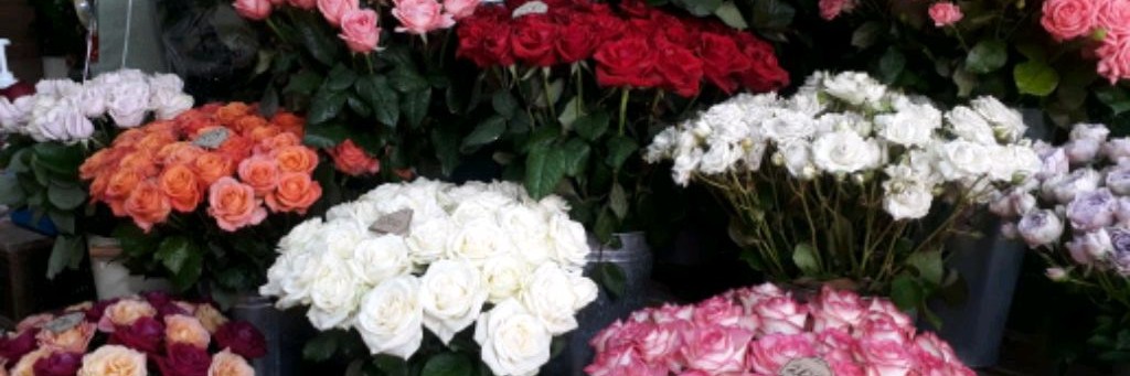 Ведьма_Валкирия