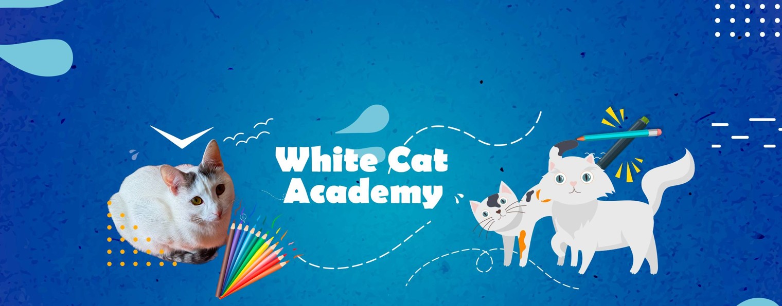 White Cat Academy