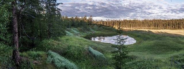 Василий Полятинский