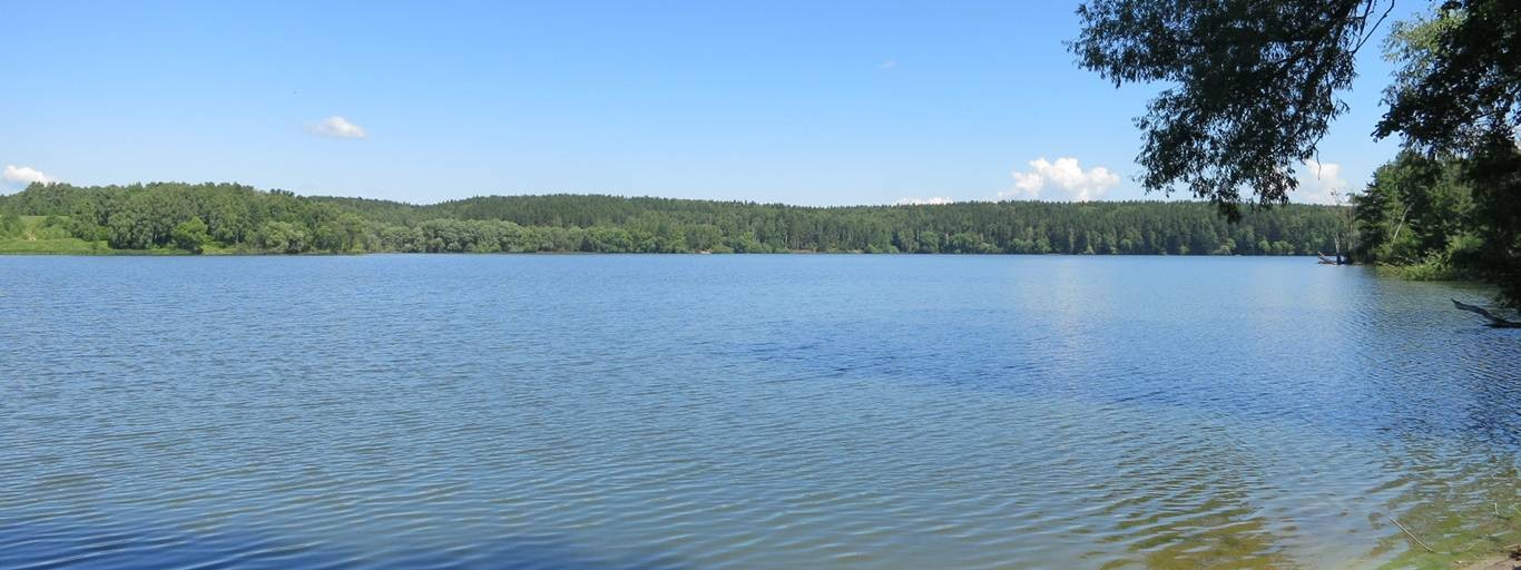 Зелёный квадрат - участки в Подмосковье