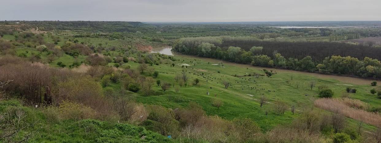 Огни Кубани