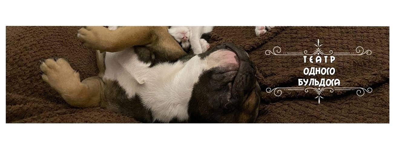 Бульдожка Федя