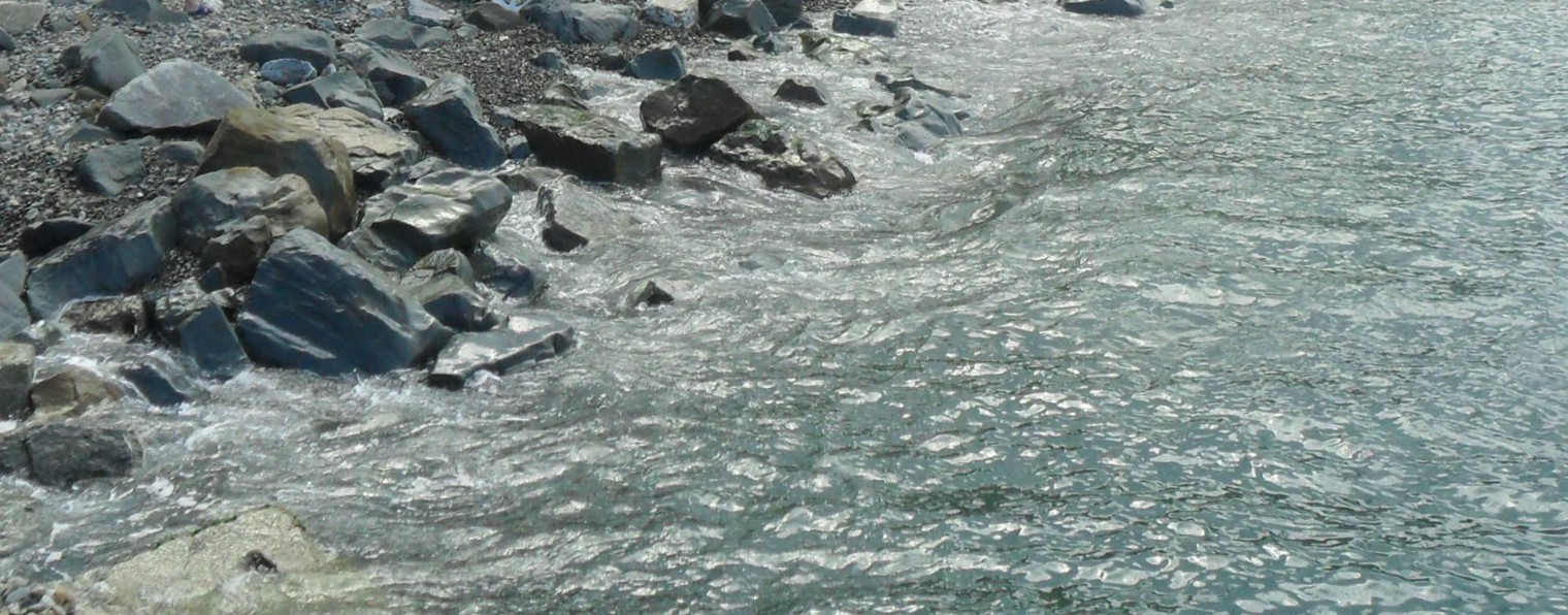 Дикий Ёж ВРН