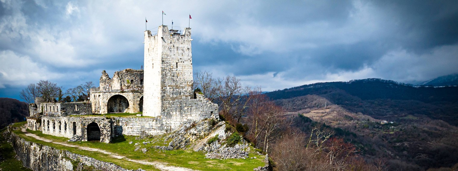 Нейростудия AiM