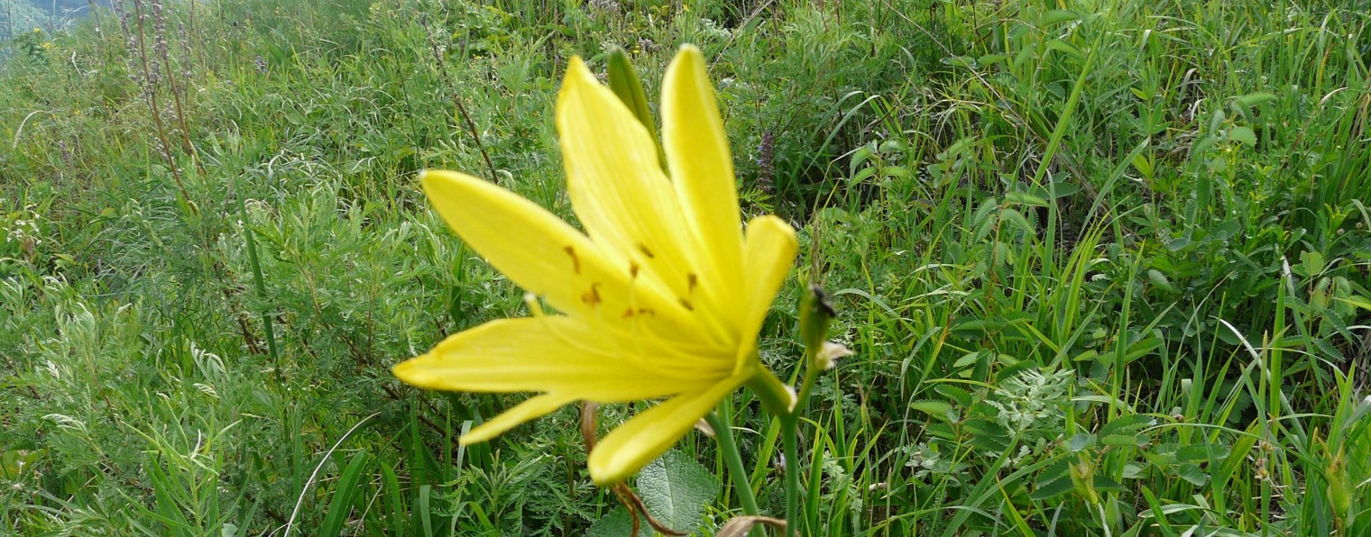 Холостяк 54.