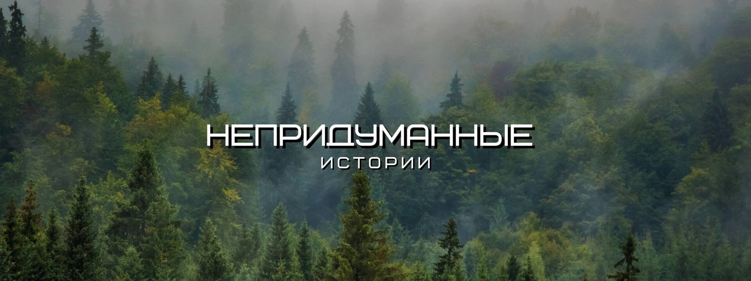 Непридуманные истории