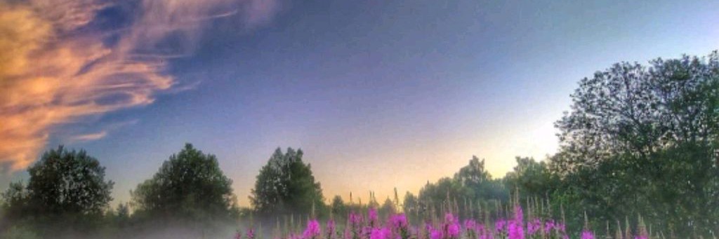 Дом в деревне