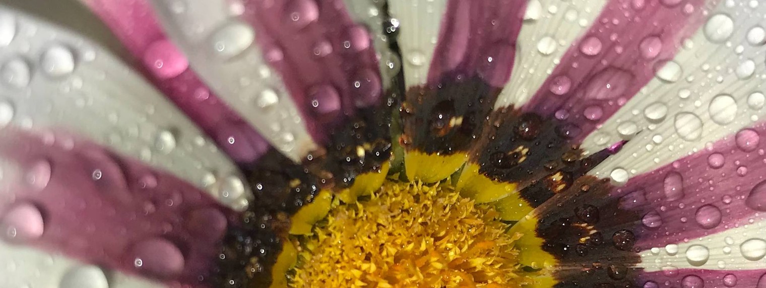 МАРИША ИЩЕНКО ЖЕНА ФЕРМЕРА ВРЕМЯ ЖИТЬ!