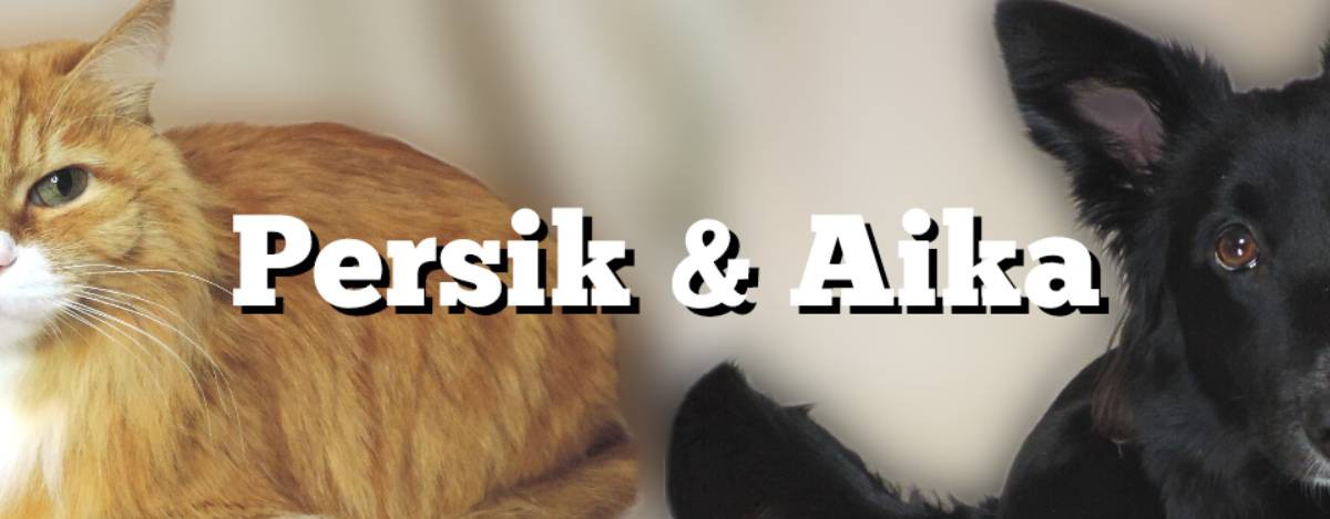 Персик и Айка