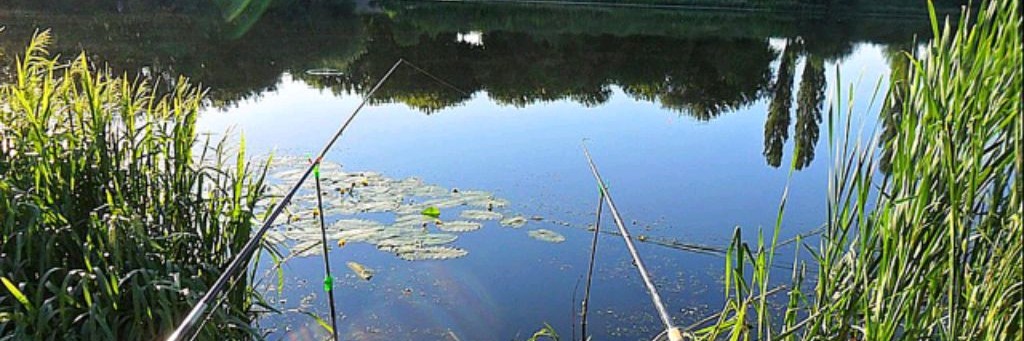 Петр  Кошкин