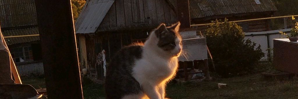 Антонова Софья