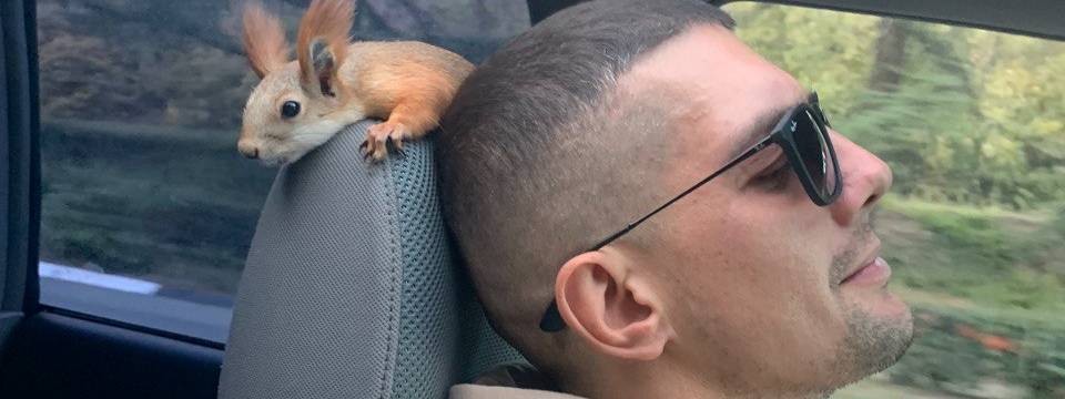 В поисках Гайки