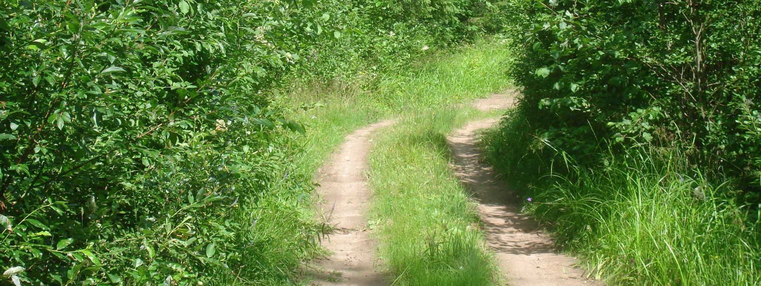 Владимир3.62