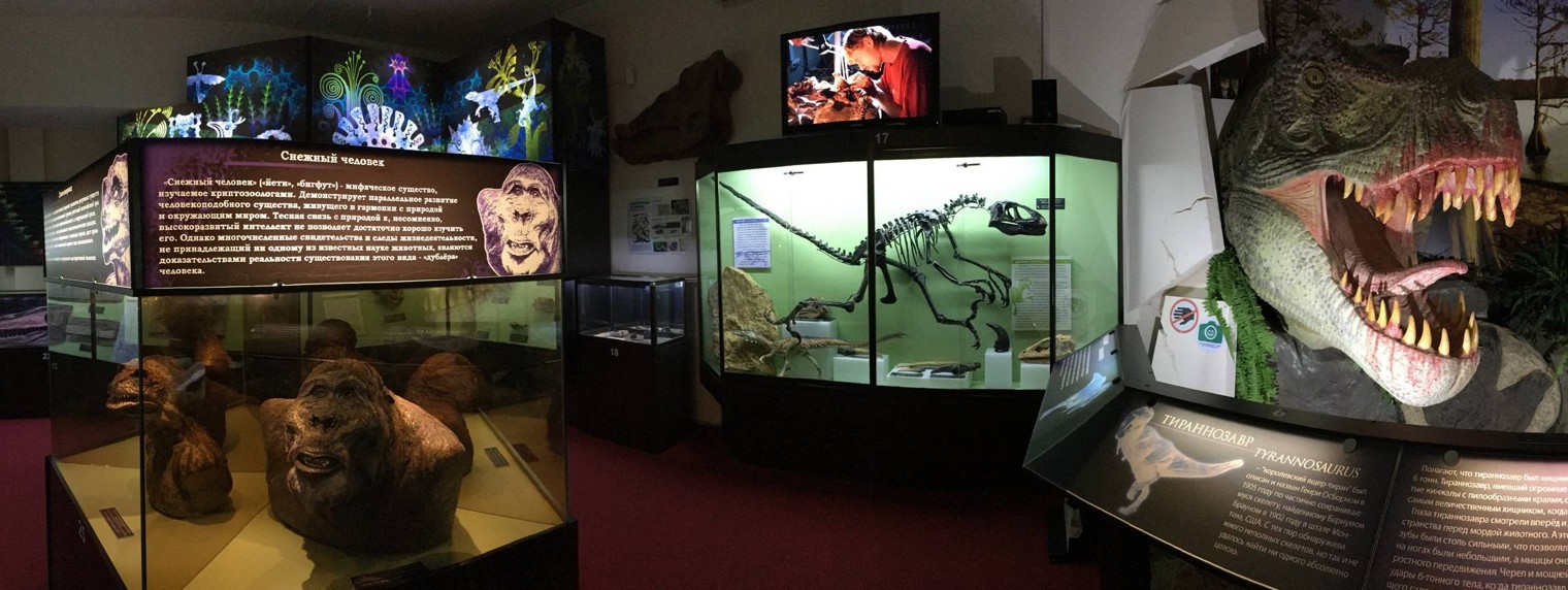 Вятский палеонтологический музей