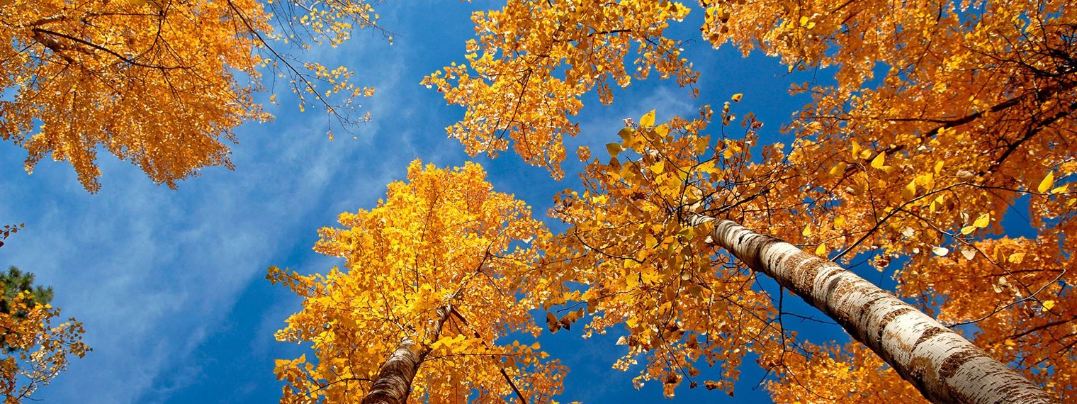 Школа астрологии АуМРИТА_Олеся Бахмат