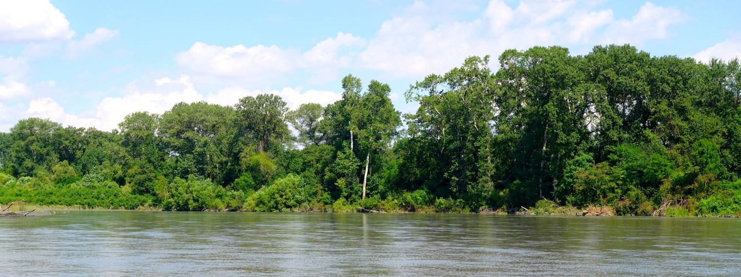 Природа Кавказа