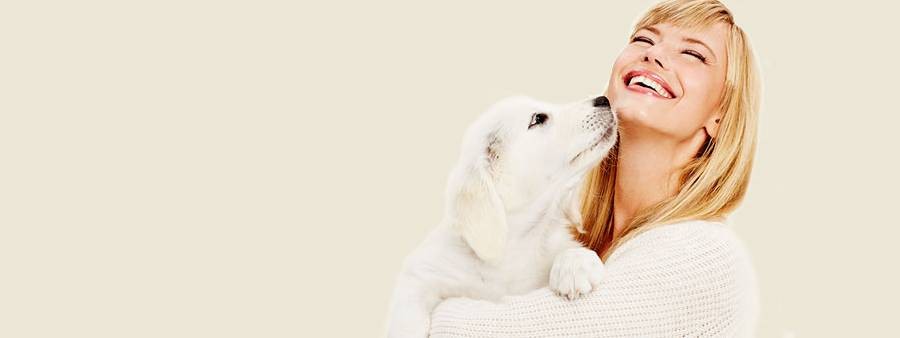 Кутята.рф - Все о собаках