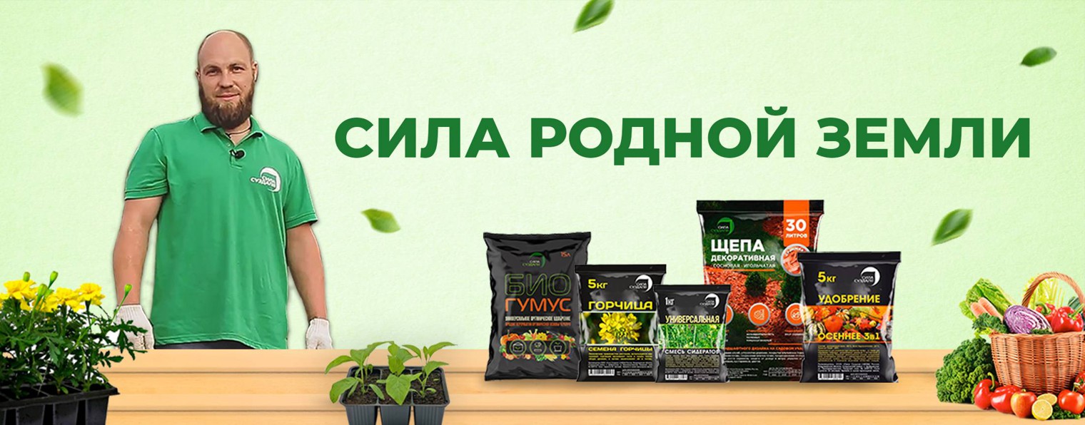 Сила Суздаля