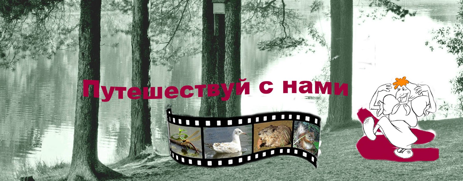 Сургутская пенсионерка