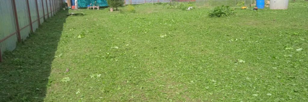 ЛПХ Тяп-Ляп.