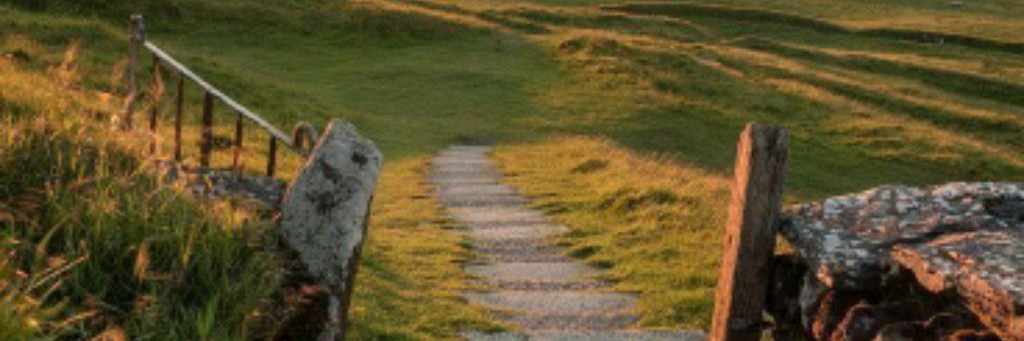 LilizTherian!¡╺⃝⃤?