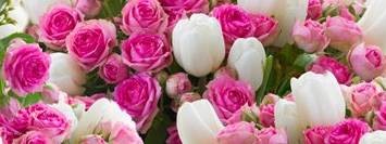 Юлия Птицына