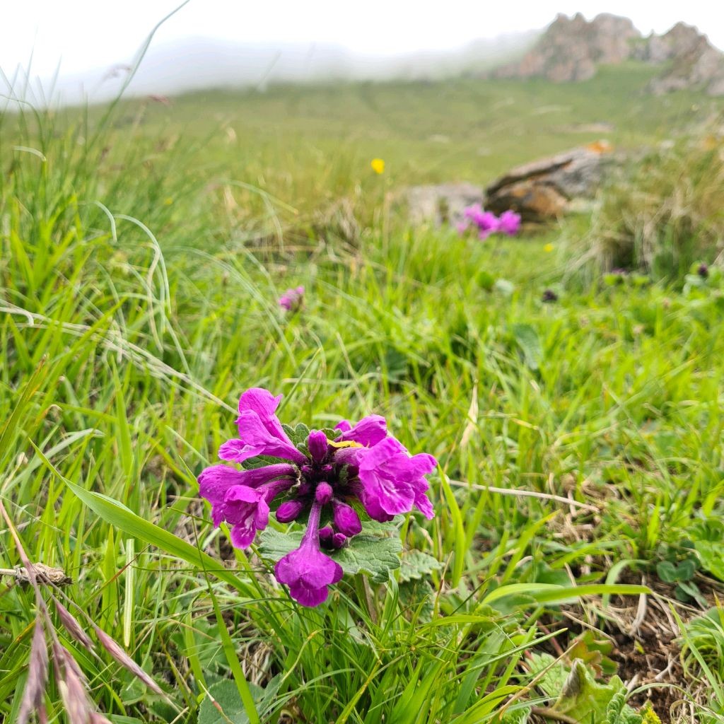 Счастье есть