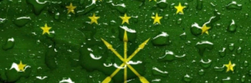 Shine ДРАКОНША