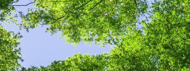 Утро с Любовью