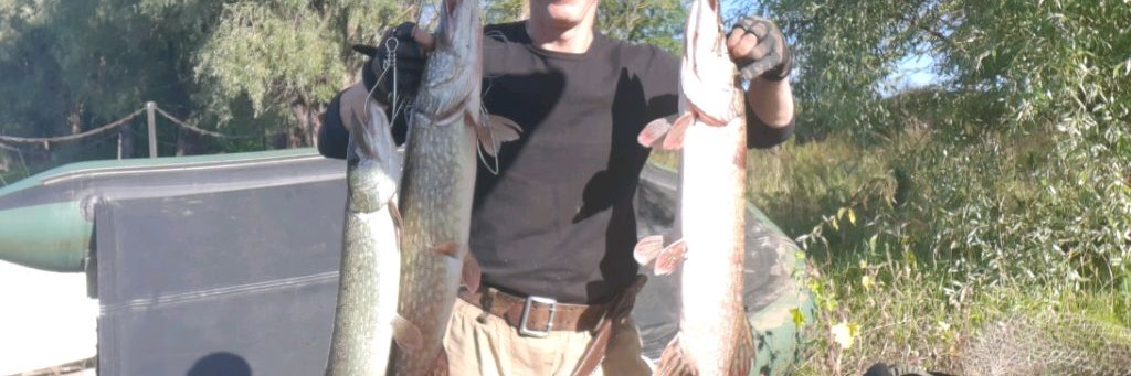 Кот Рыбалкин