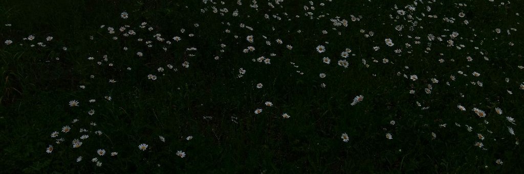 ПРИКОЛЫ ТОМЧИКА