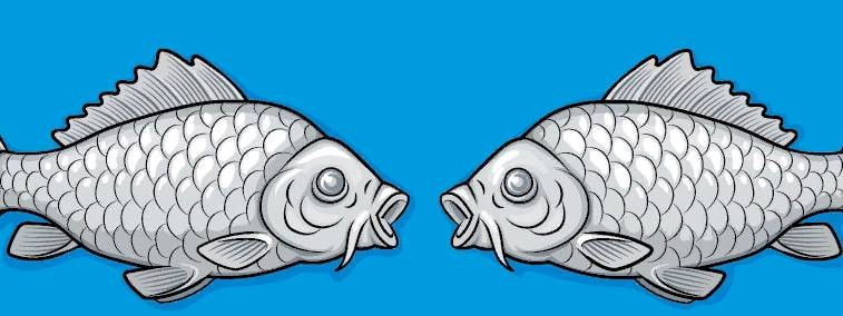 Совет депутатов муниципального округа Братеево