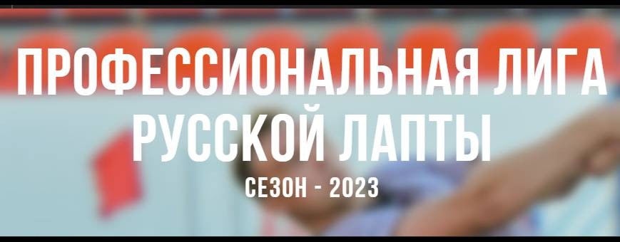 Профессиональная лига русской лапты PLRL
