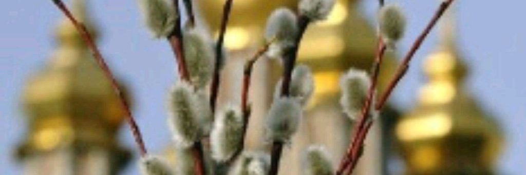 КультураКиик