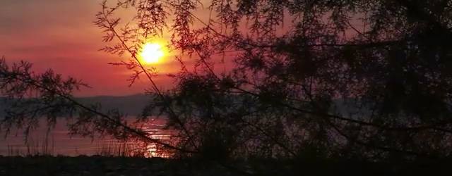 Игорь Фёдоров