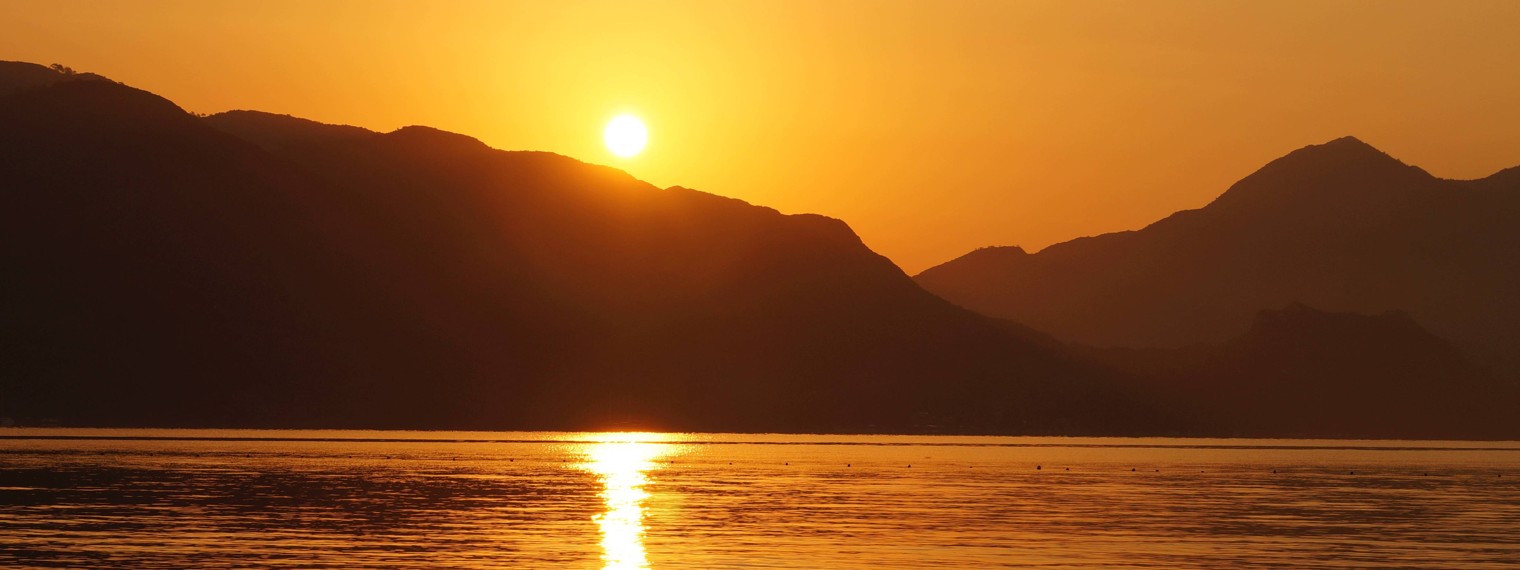 Скоморохин