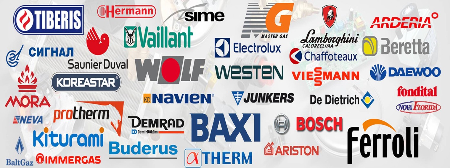 waterpro24.ru: Запчасти для газовых котлов