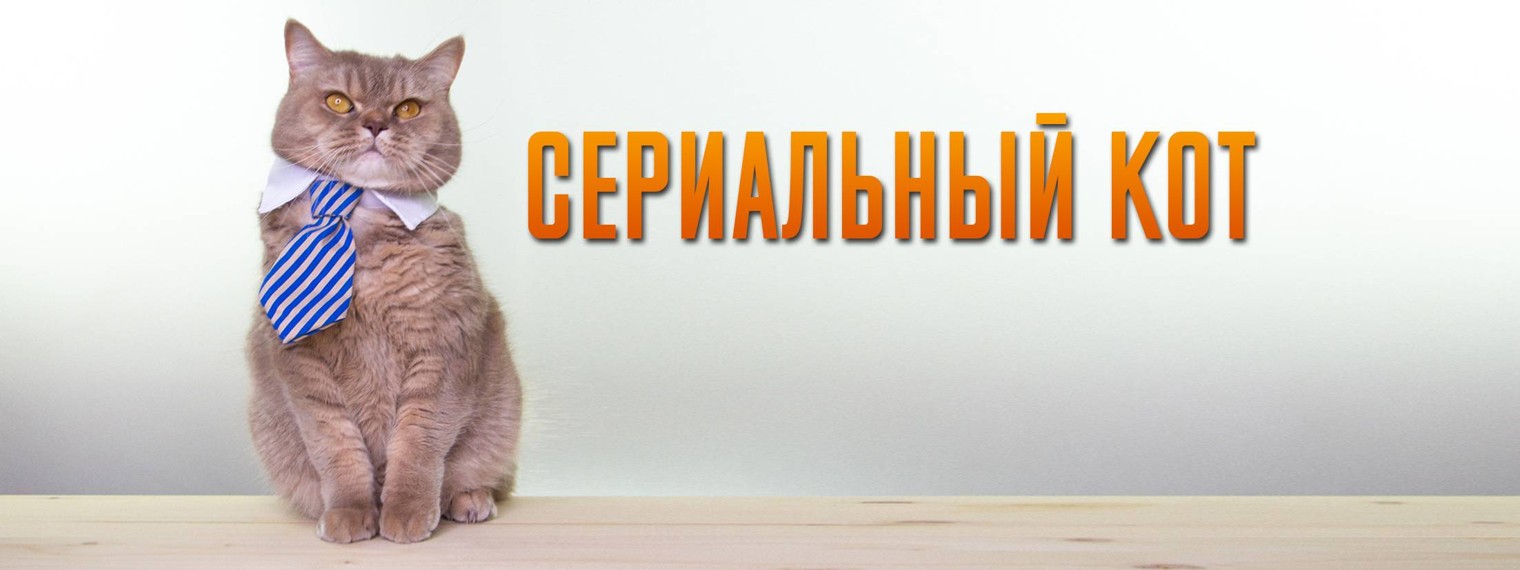 Сериальный Кот