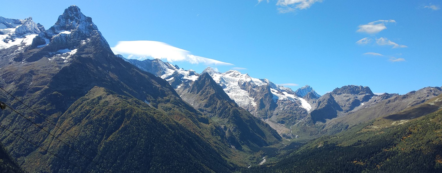 Розы - Татьяна Сибгатулина