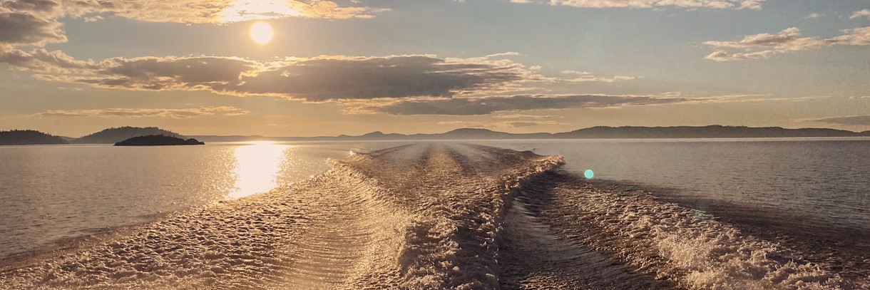 Анастасия Балт