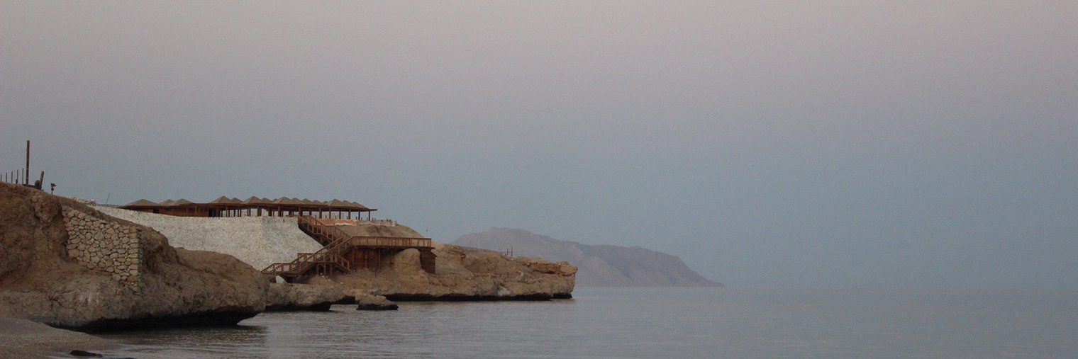 Диана Сунагатуллина