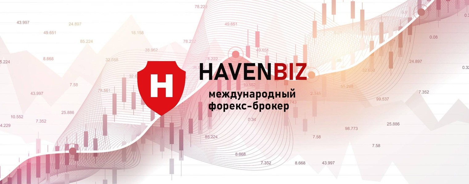HavenBiz - официальный RuTube канал брокера