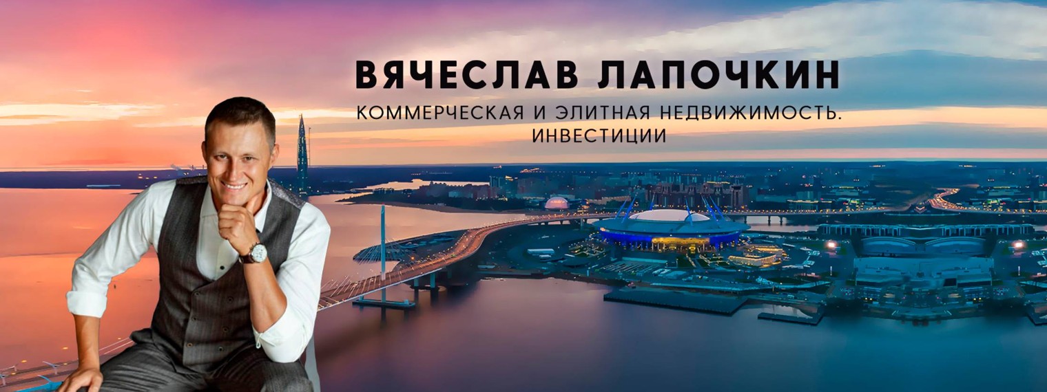 Вячеслав Лапочкин